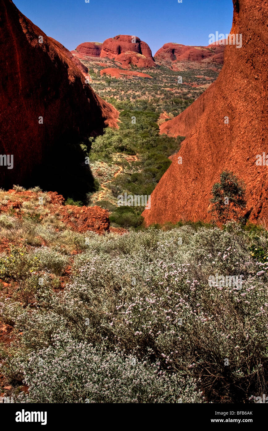 View of Kata Tjuta "The Olgas", Australia Stock Photo - Alamy