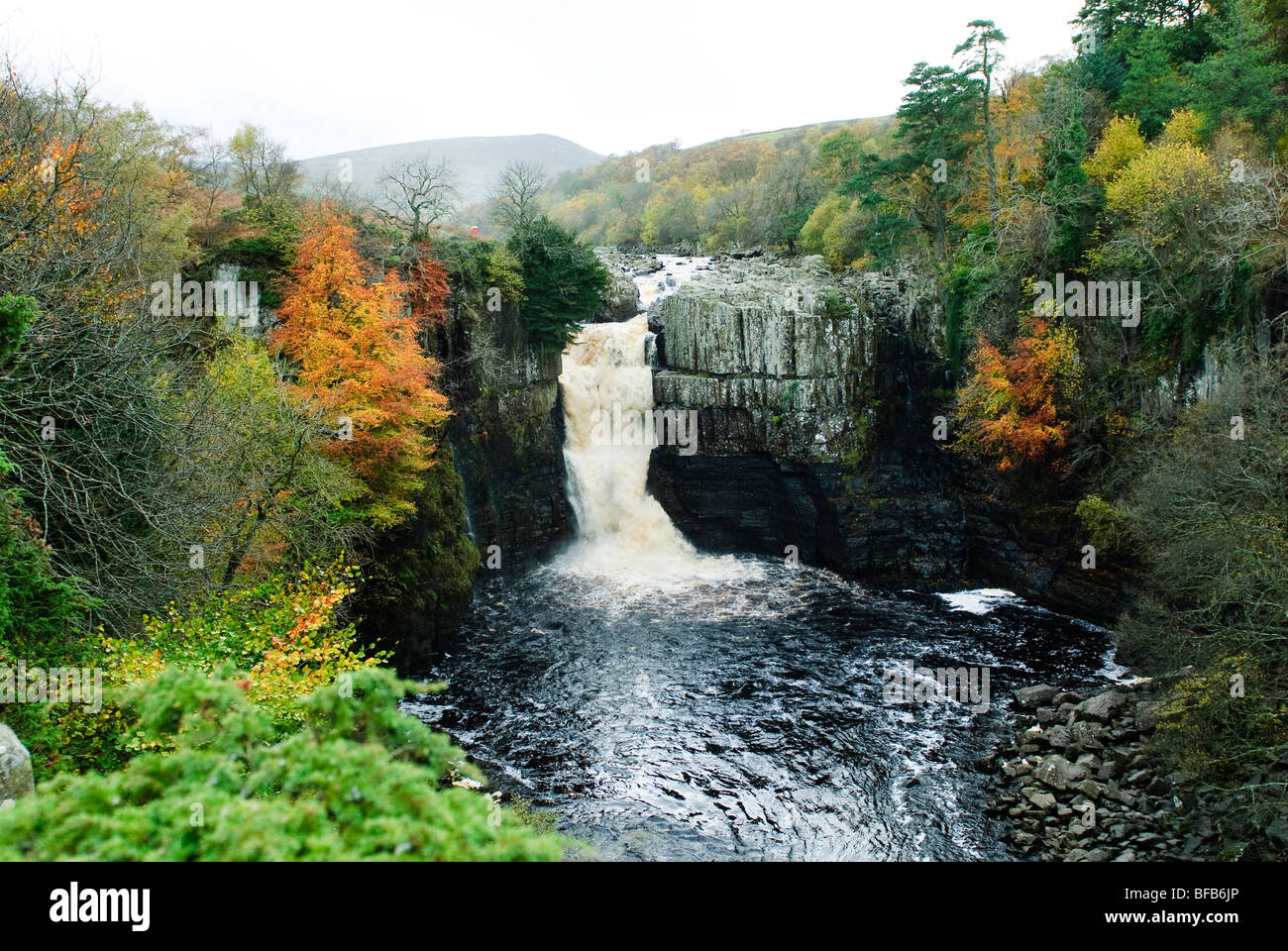 High Force Waterfall Autumn High Resolution Stock Photography and ...