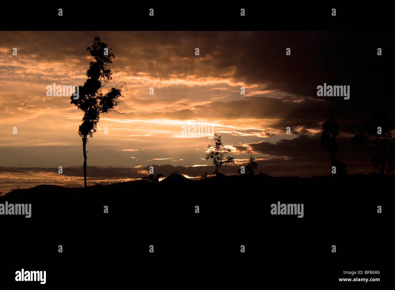 Sunset over the outback, Fraser Island, Queensland, Australia Stock ...