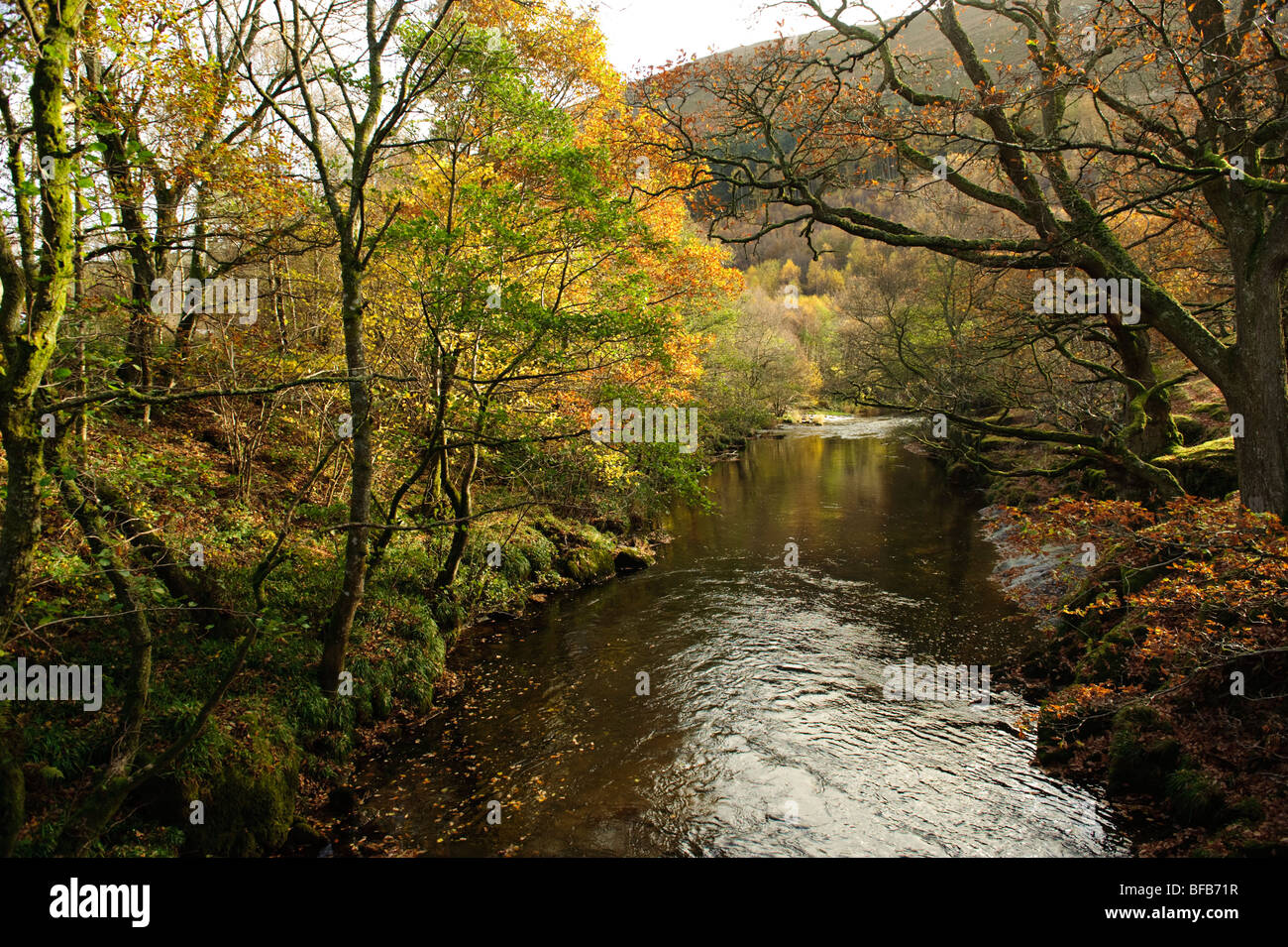 The Wye river valley, October autumn afternoon, Wales UK Stock Photo ...
