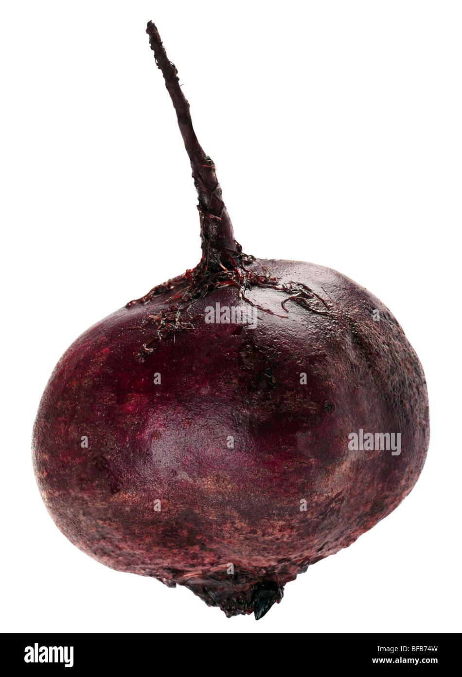 Beet purple vegetable isolated on white background Stock Photo - Alamy