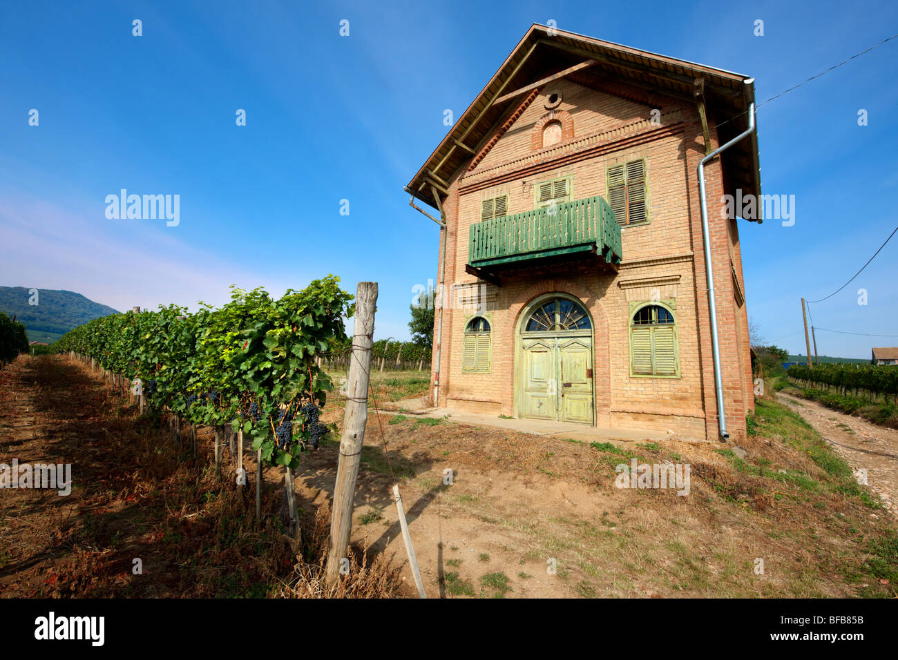 Historic traditional vineyards famous hungarian vineyards hi-res stock ...