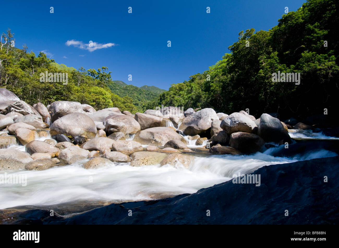 Mossman river flowing through the Daintree rainforest Queensland ...