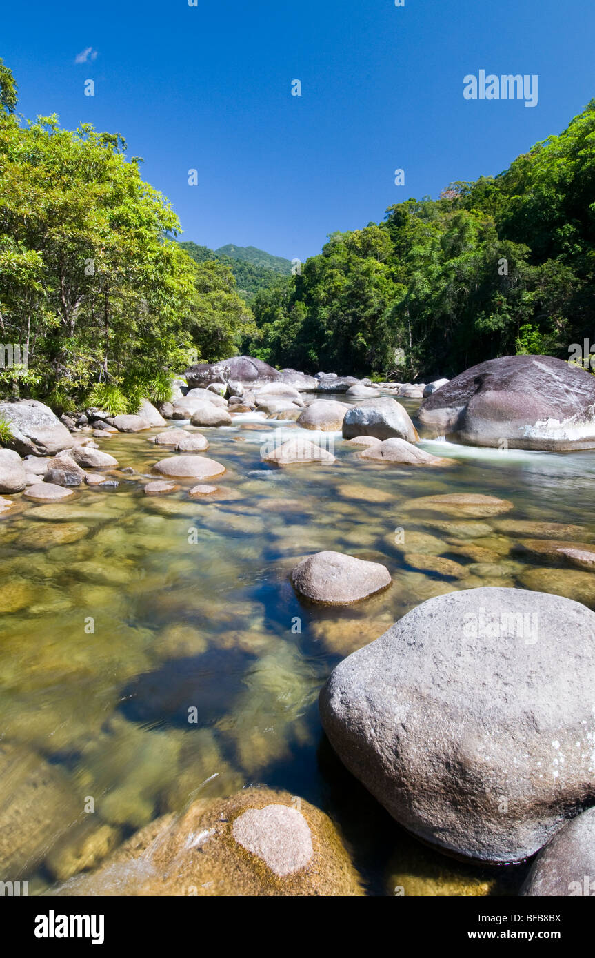 Mossman river flowing through the Daintree rainforest Queensland ...