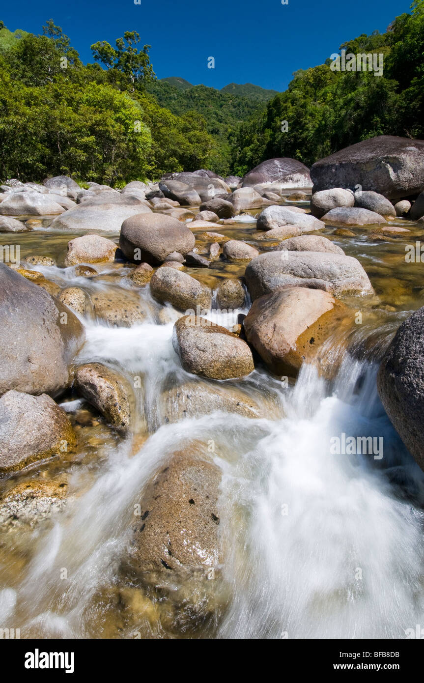 Mossman river flowing through the Daintree rainforest Queensland ...