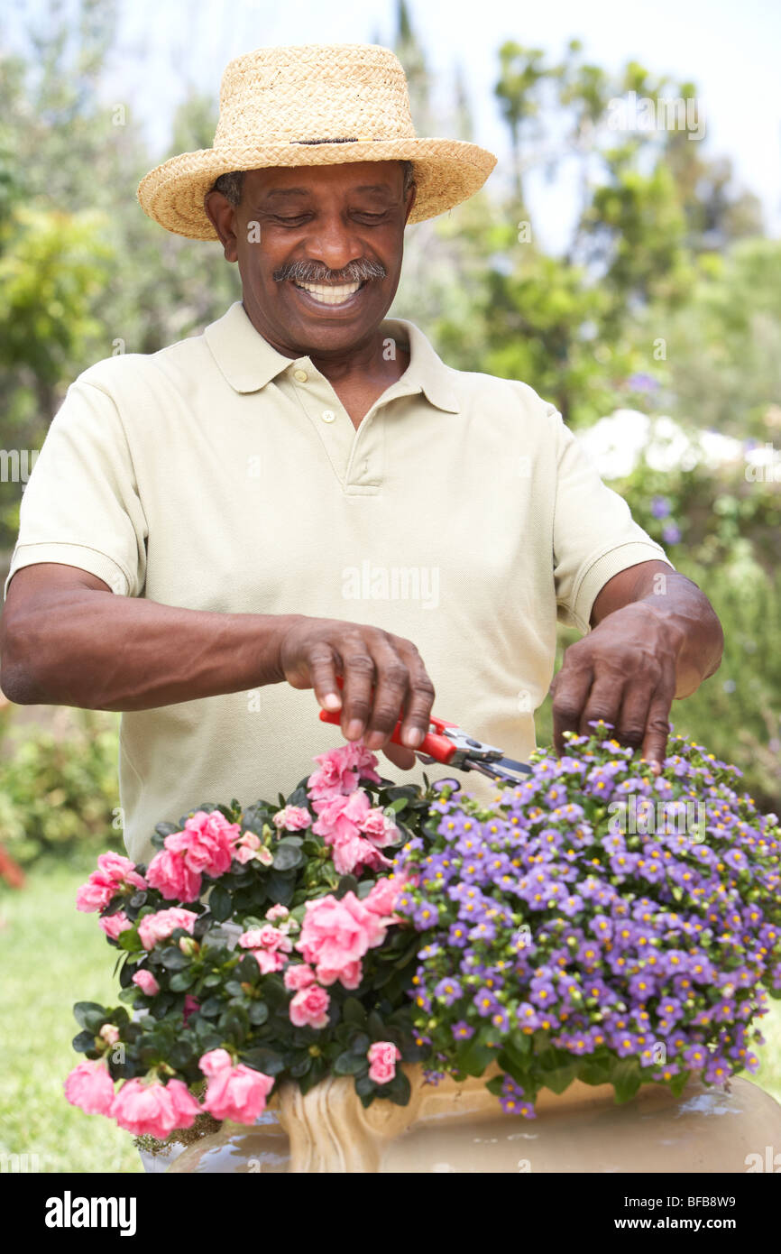 Senior Man Gardening Stock Photo - Alamy