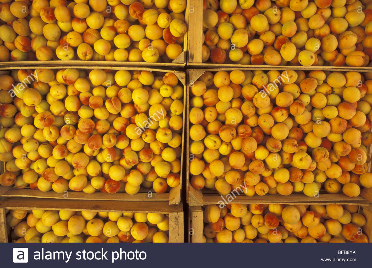 Marilla High Resolution Stock Photography and Images - Alamy