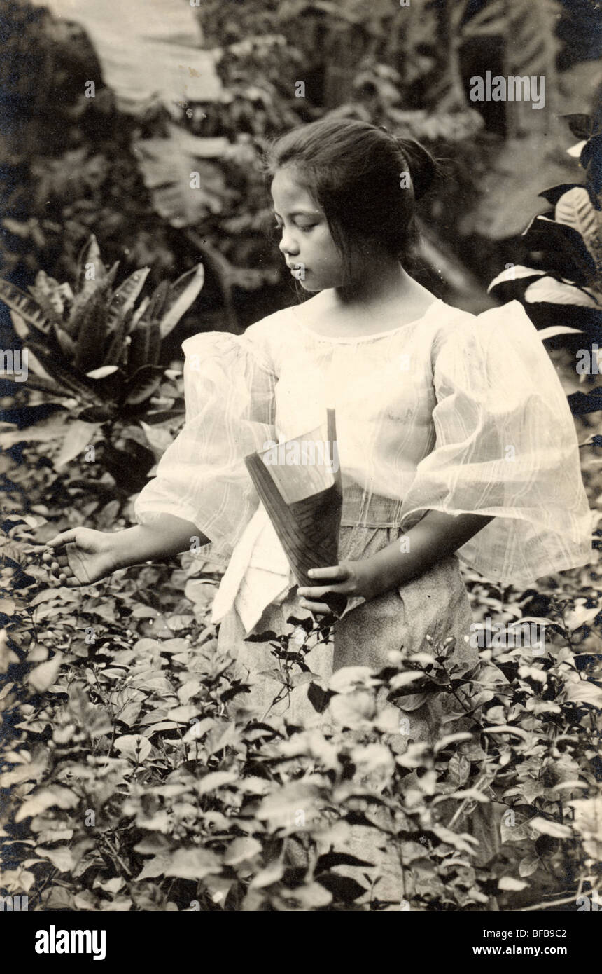 Beautiful Little Girl Filipina Girl Gathering Flowers Stock Photo - Alamy