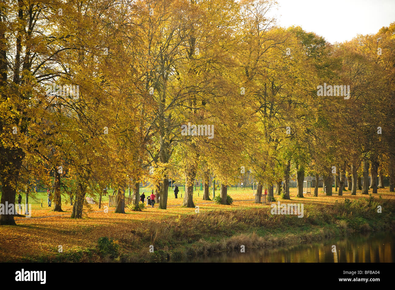 Autumn colours in Builth Wells: deciduous trees line the Wye river ...