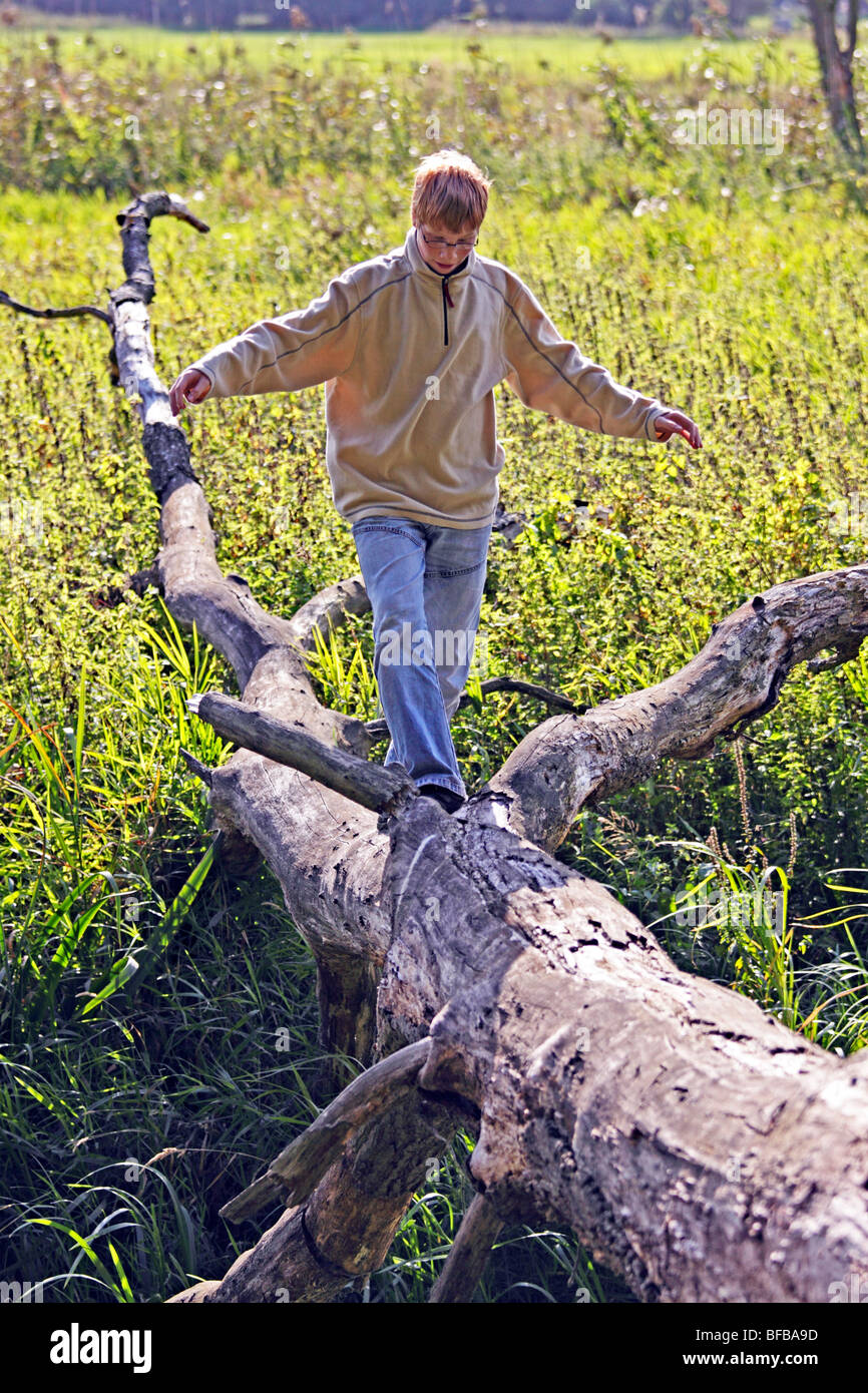 teenage boy balancing across a fallen tree Stock Photo - Alamy