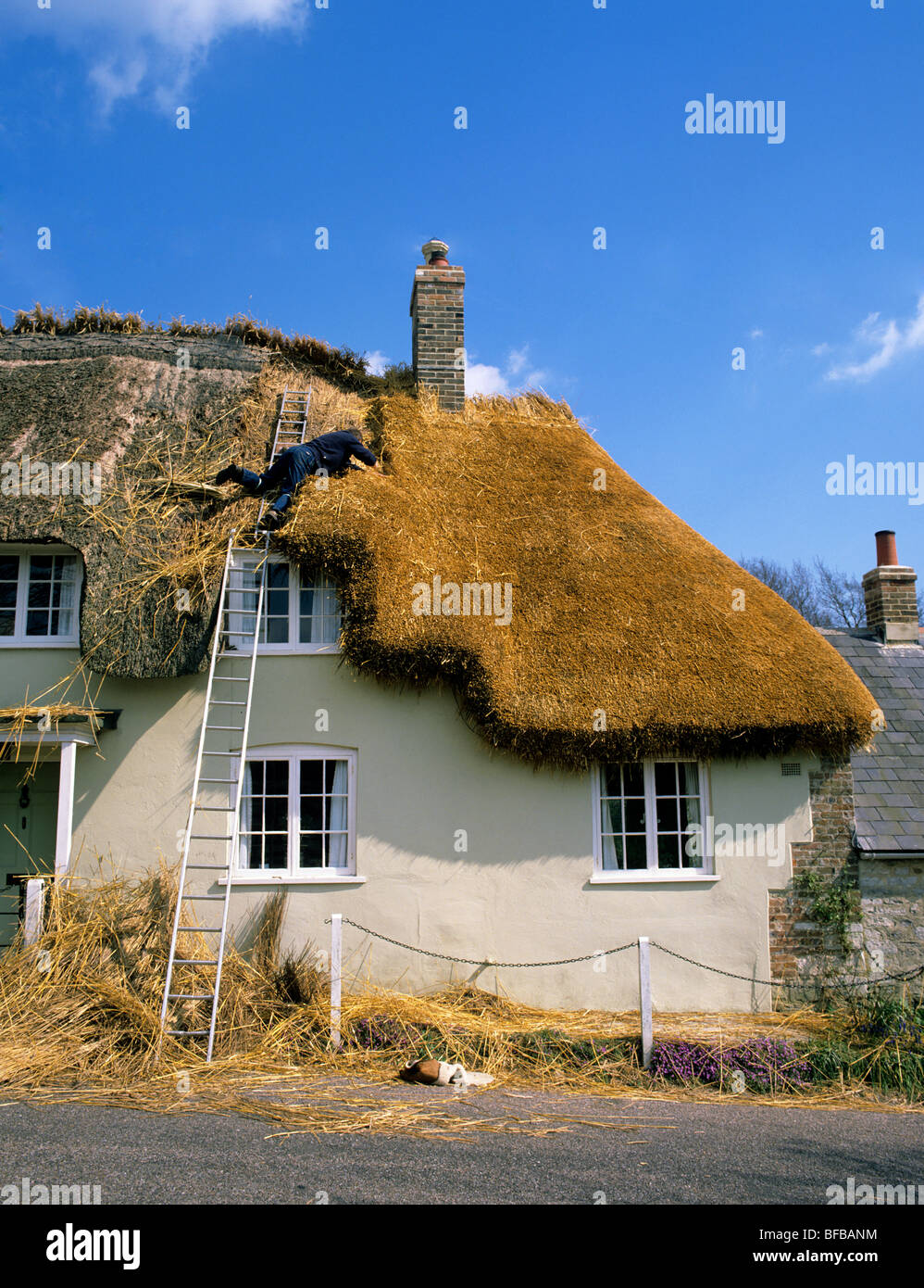 Lower Bockhampton - Thatcher at work in a Dorset village Stock Photo ...