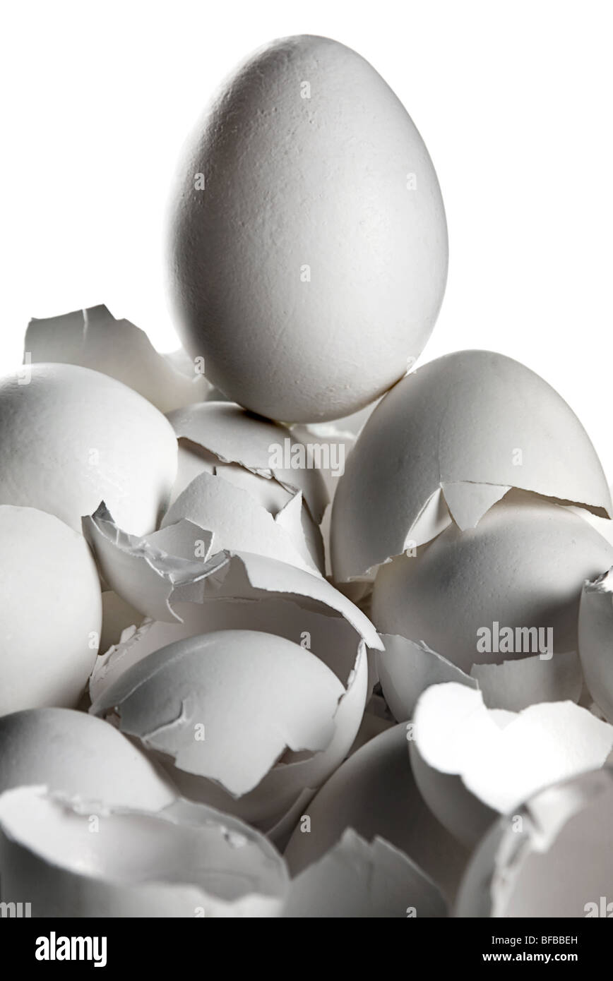 One egg shell hi-res stock photography and images - Alamy