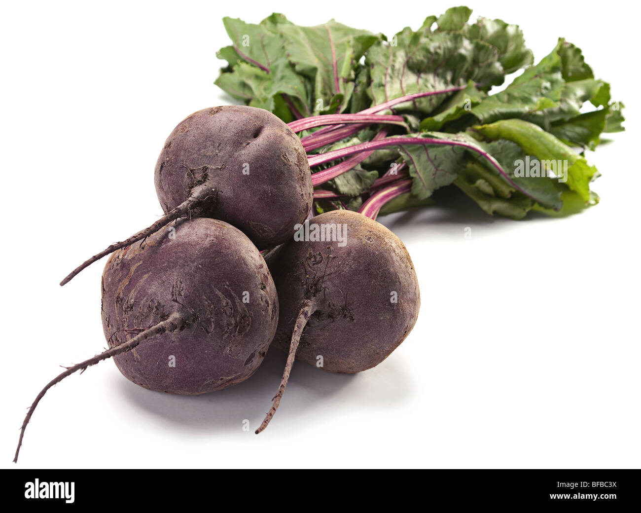 Beet purple vegetable with leaf on white Stock Photo - Alamy