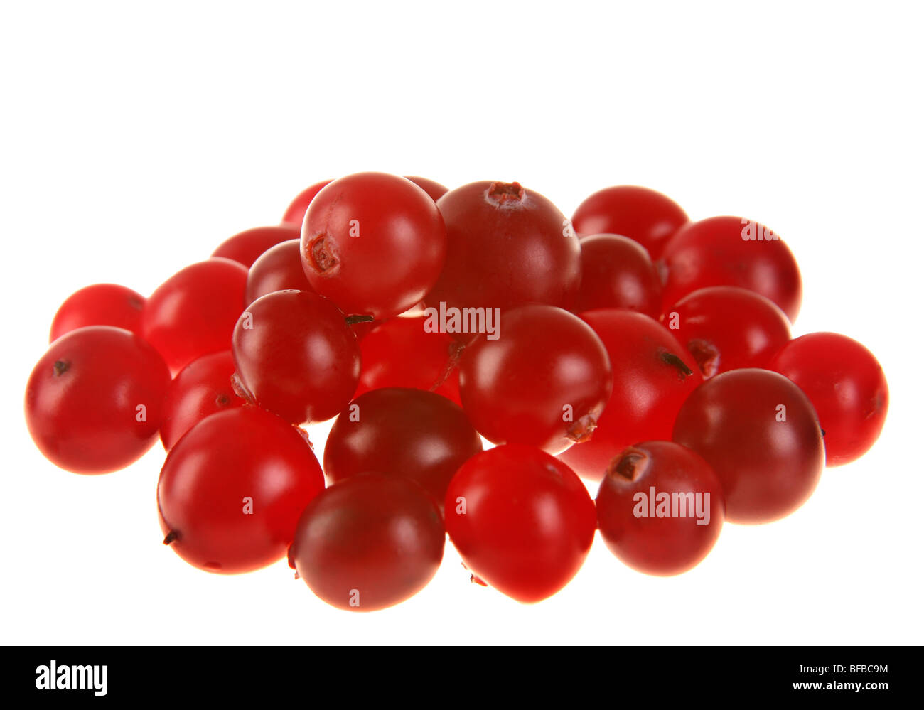 Red rowanberry fruit group on white background Stock Photo - Alamy