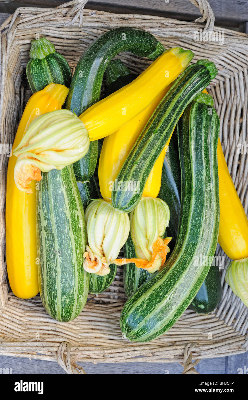 Courgette varieties hi-res stock photography and images - Alamy