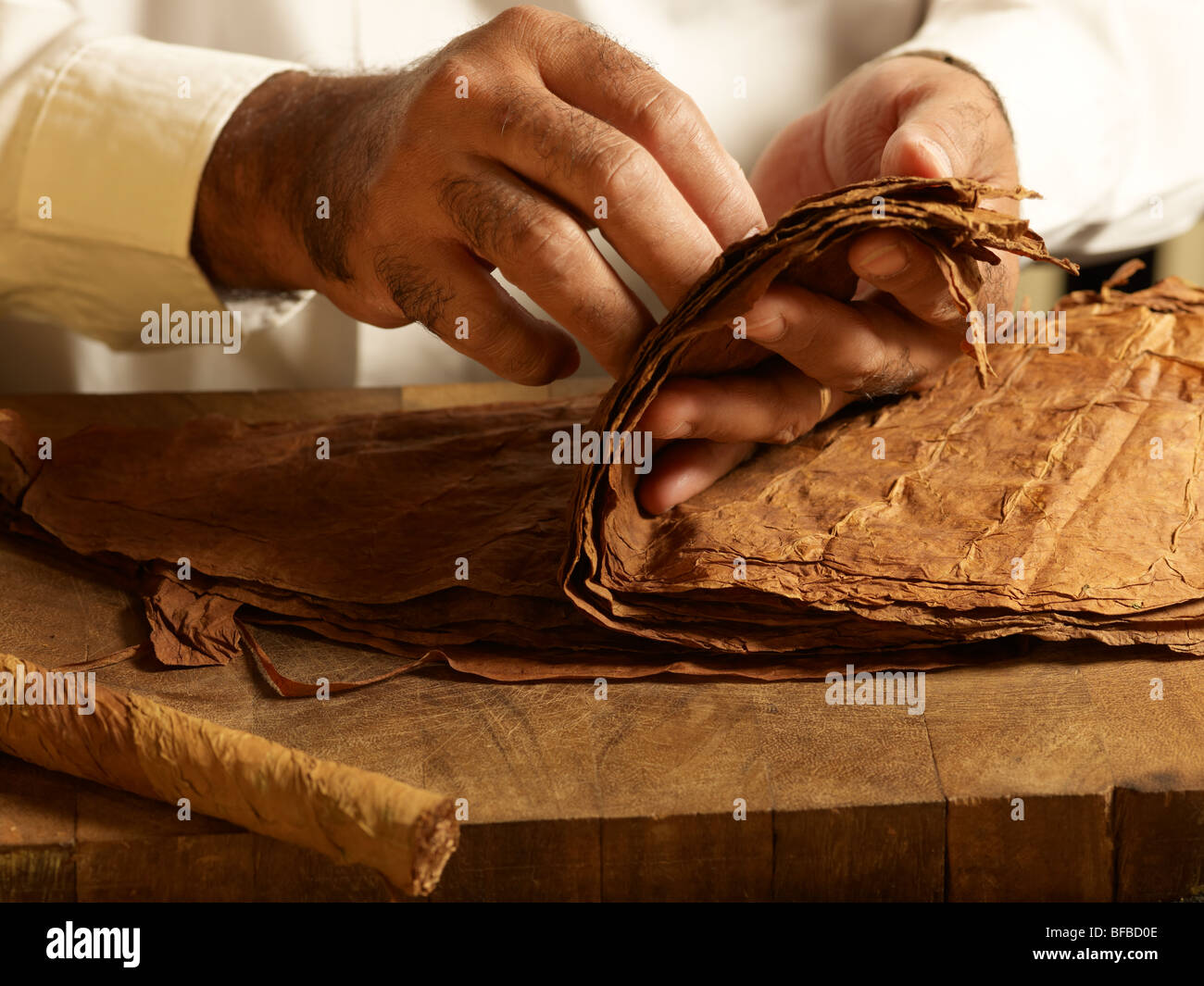 manufacturing process of a cuban cigar Stock Photo - Alamy