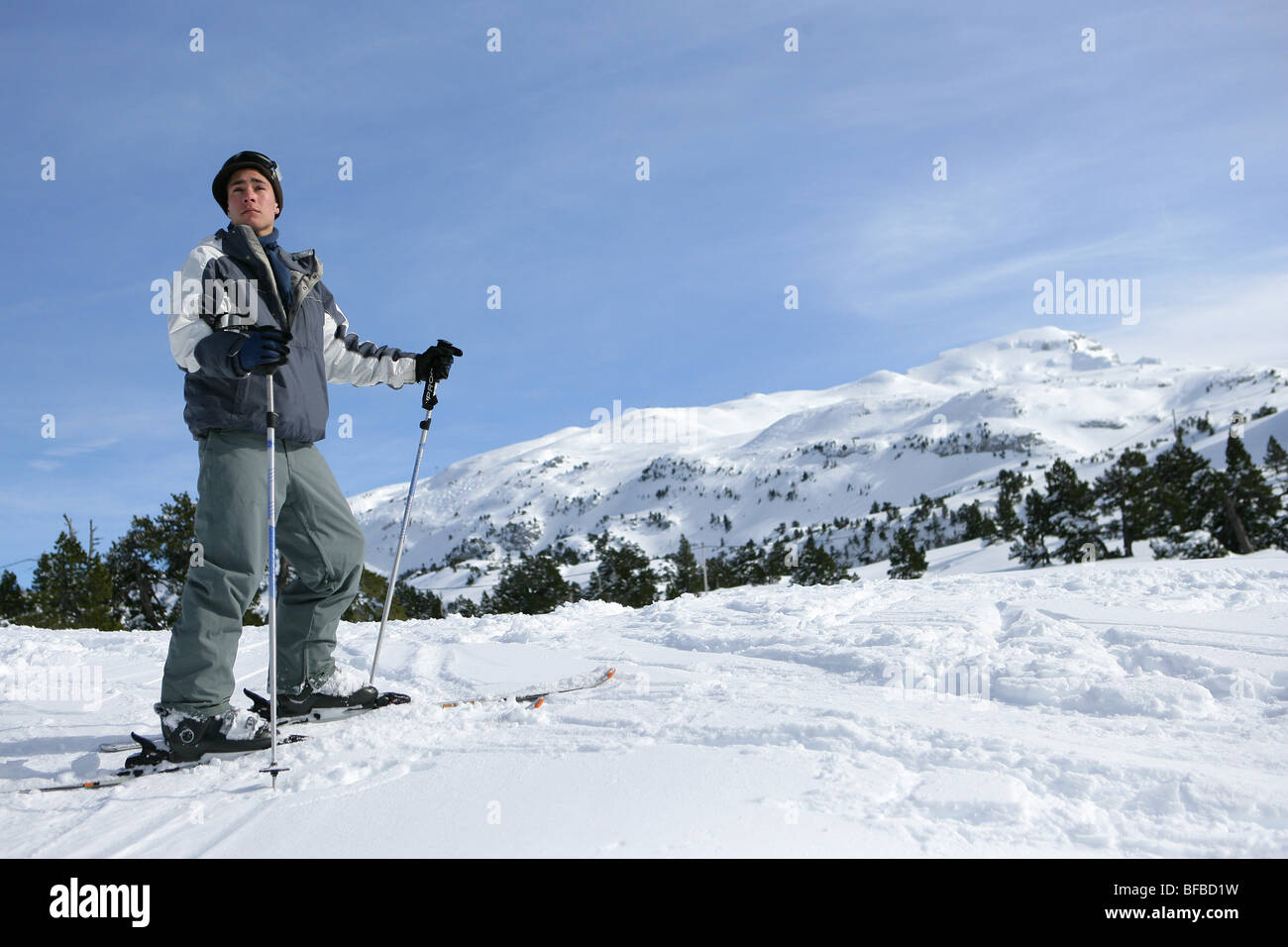 Male skier standing on a mountain Stock Photo - Alamy