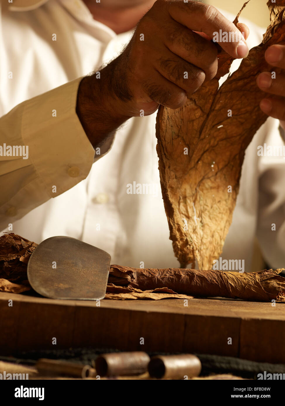 manufacturing process of a cuban cigar Stock Photo - Alamy