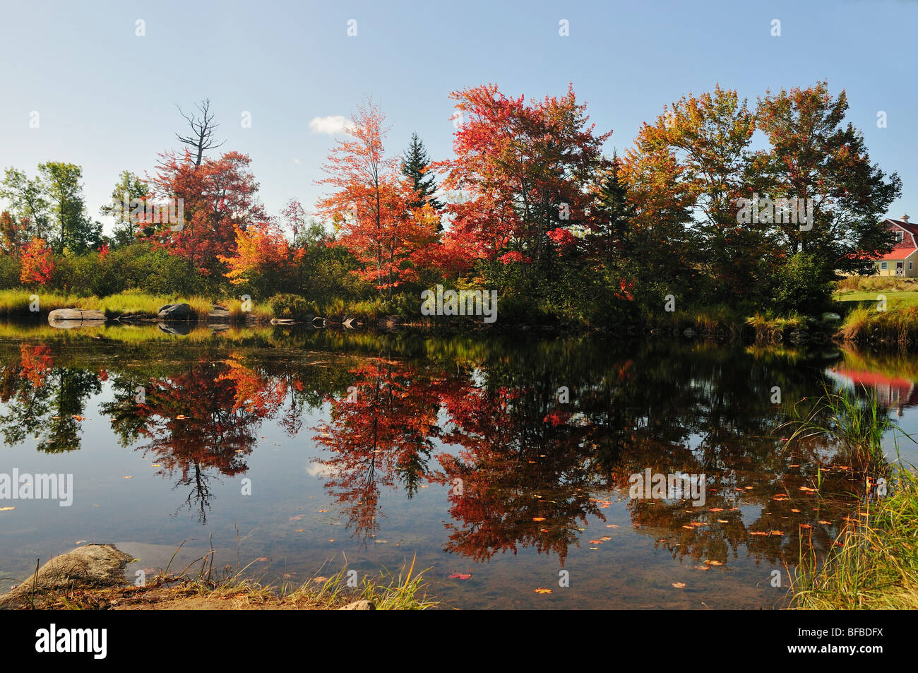 New england maine fall foliage hi-res stock photography and images - Alamy