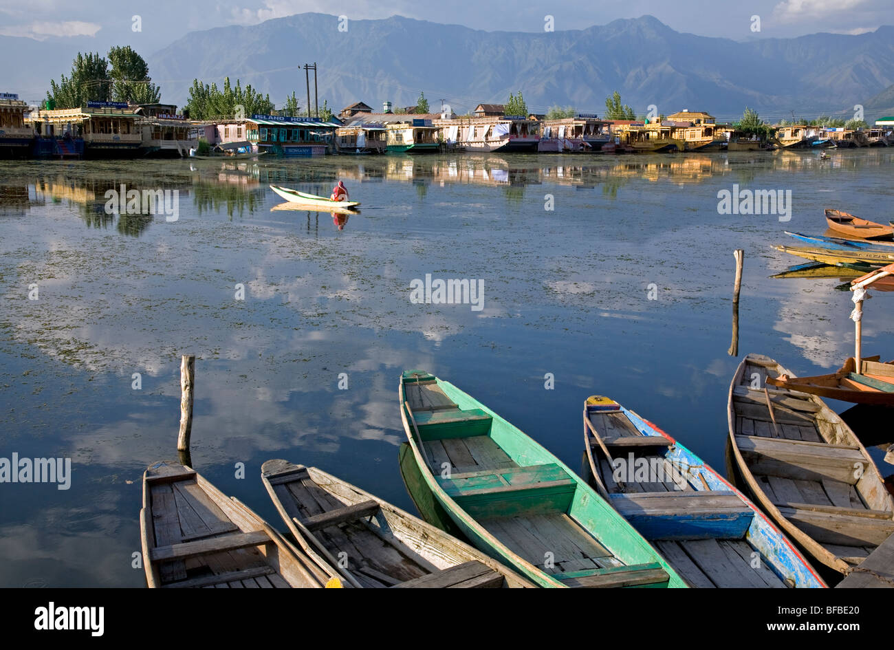 Woman paddling a shikara (traditional boat). Dal Lake. Srinagar ...