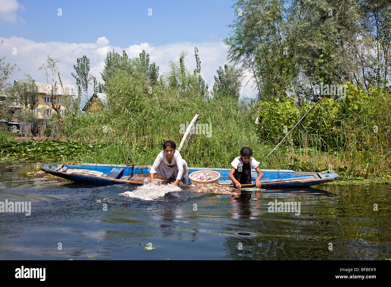 Young women doing the laundry. Dal Lake. Srinagar. Kashmir. India Stock ...