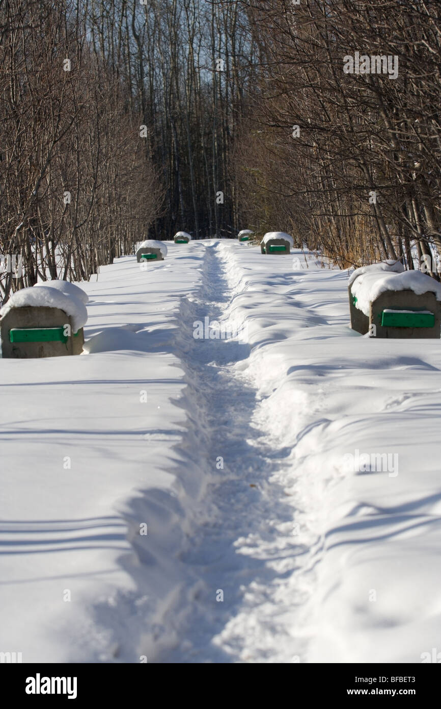 Deep snow on a lane hi-res stock photography and images - Alamy