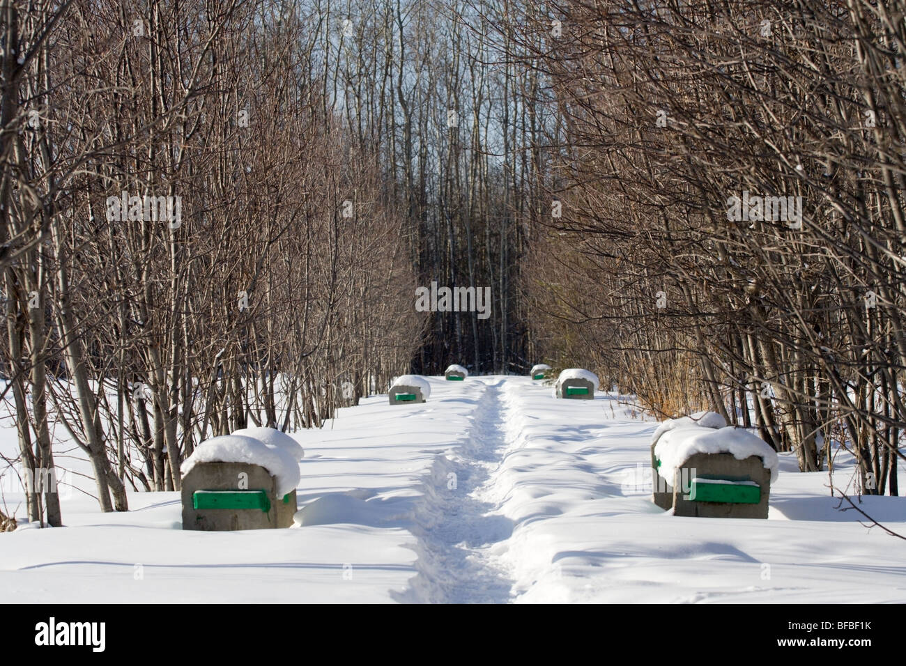 Deep snow on a lane hi-res stock photography and images - Alamy