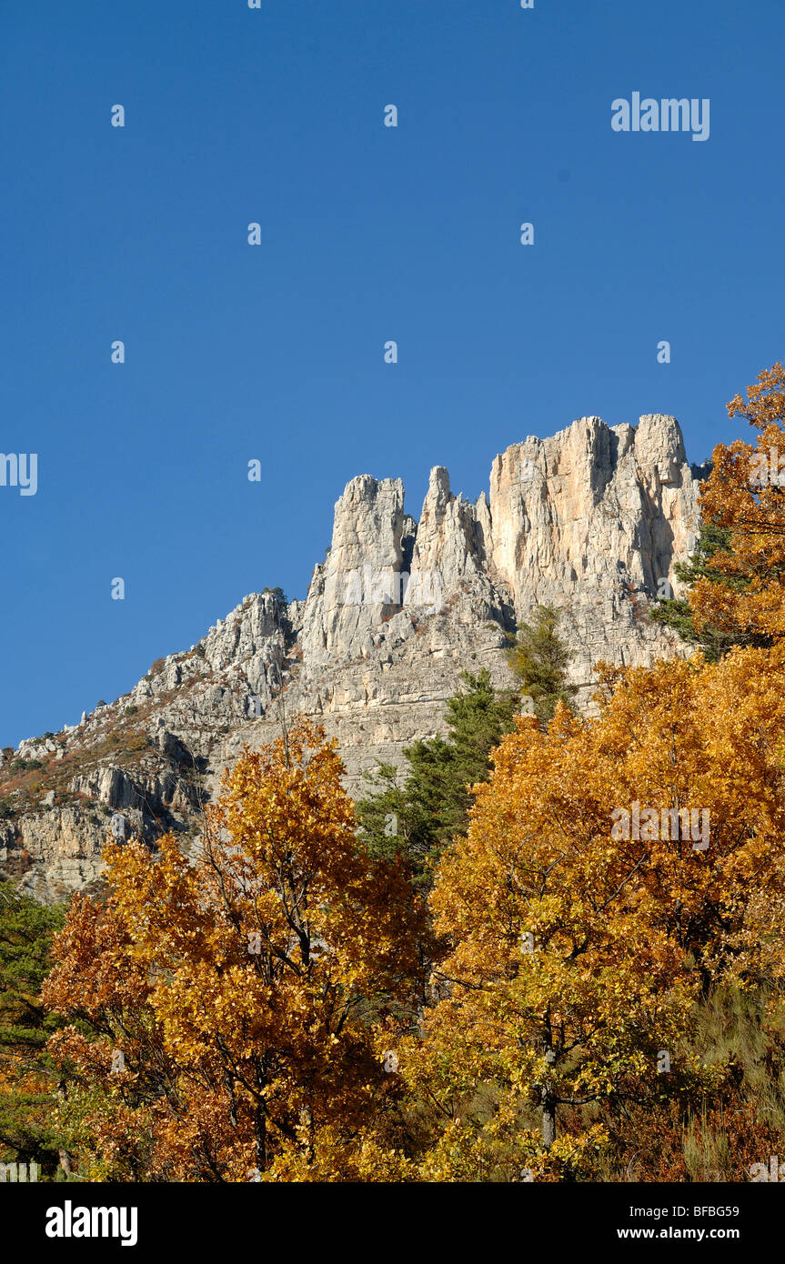 Golden Autumn or Fall Colours Colors in the Gorges du Verdon or Verdon ...