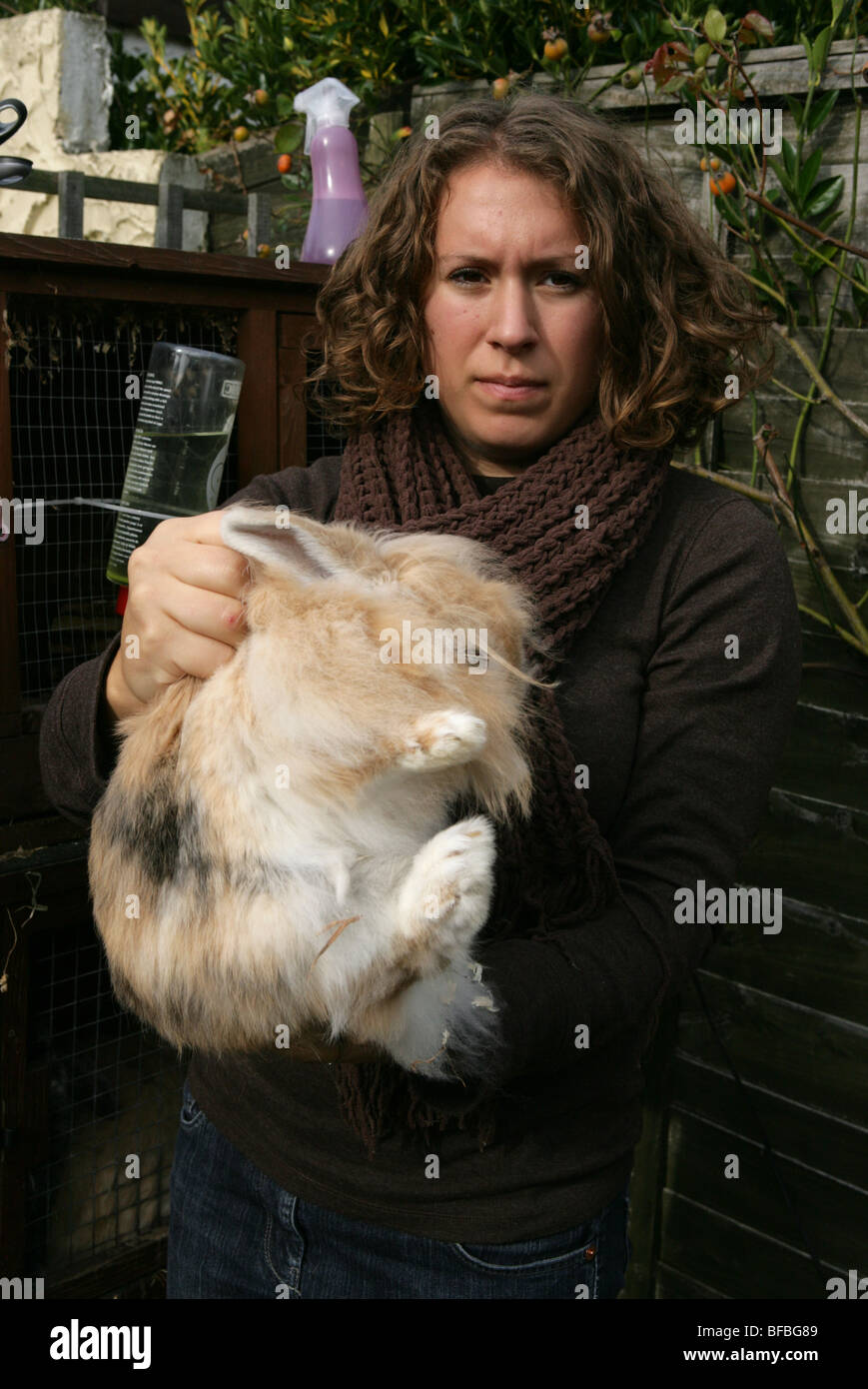 Rabbit Owner holding rabbit correctly Garden Stock Photo - Alamy