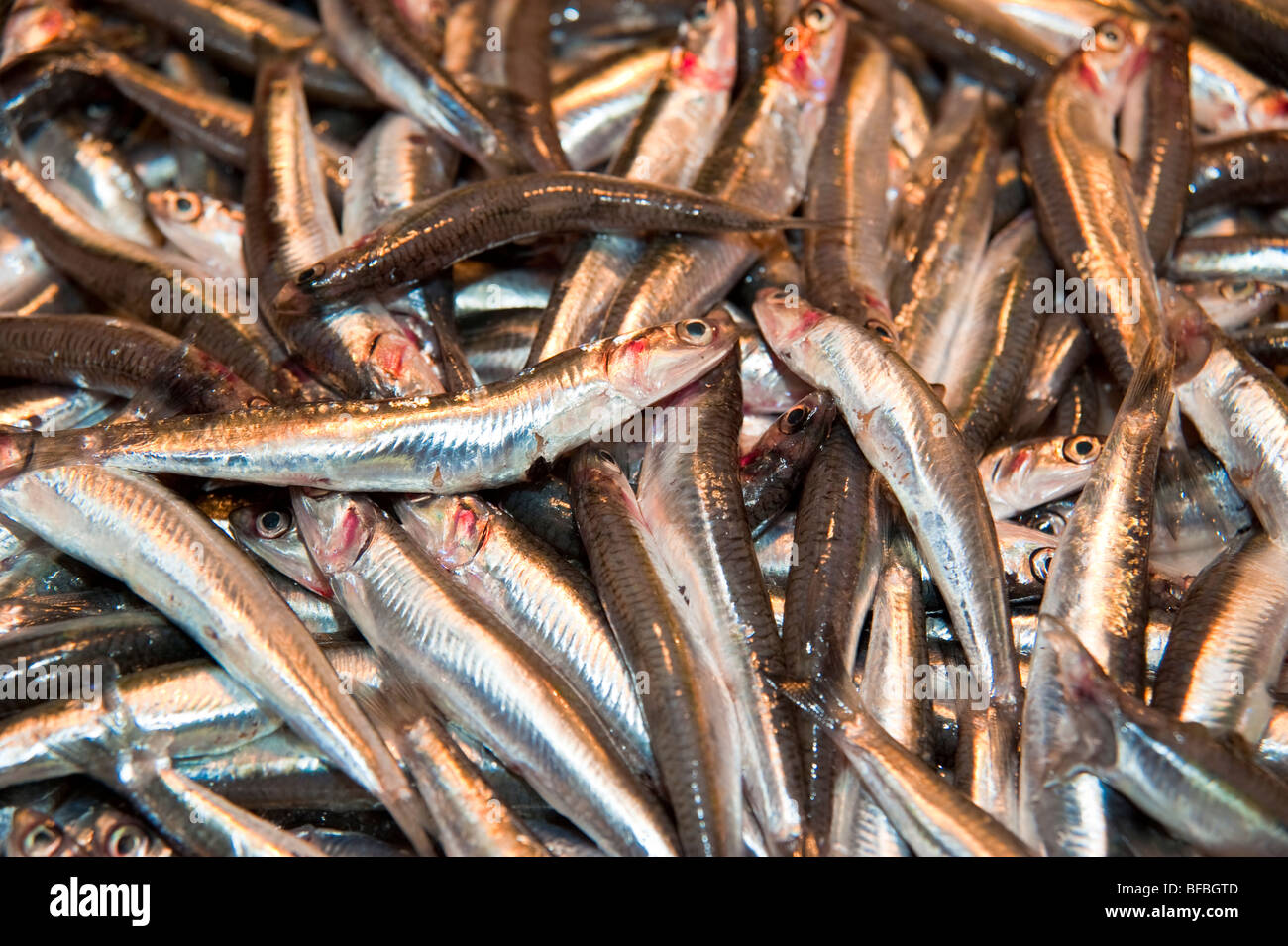 Fresh fish for sale on food market at Aegina island, Greece Stock Photo ...