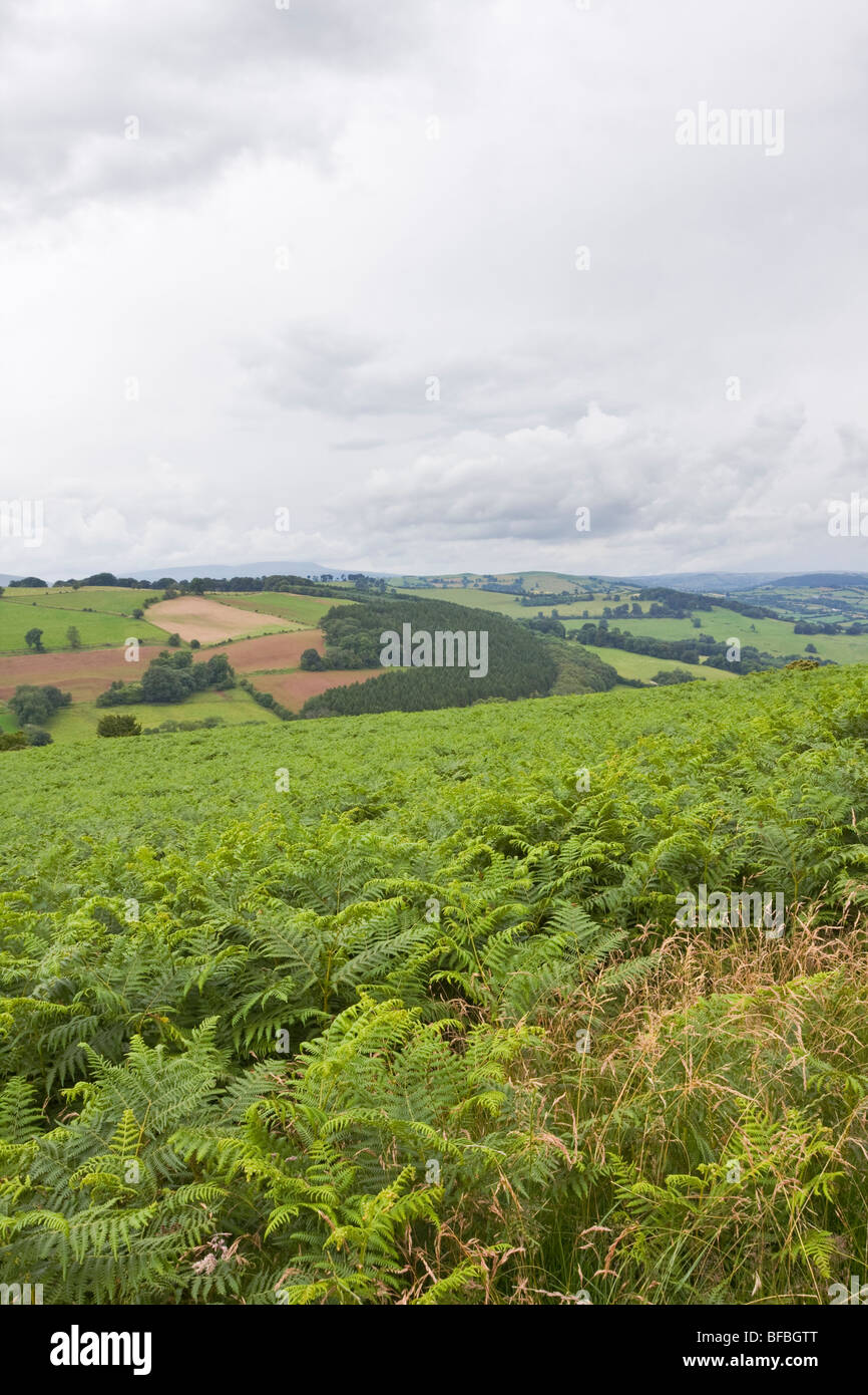 Brecon fort hi-res stock photography and images - Alamy