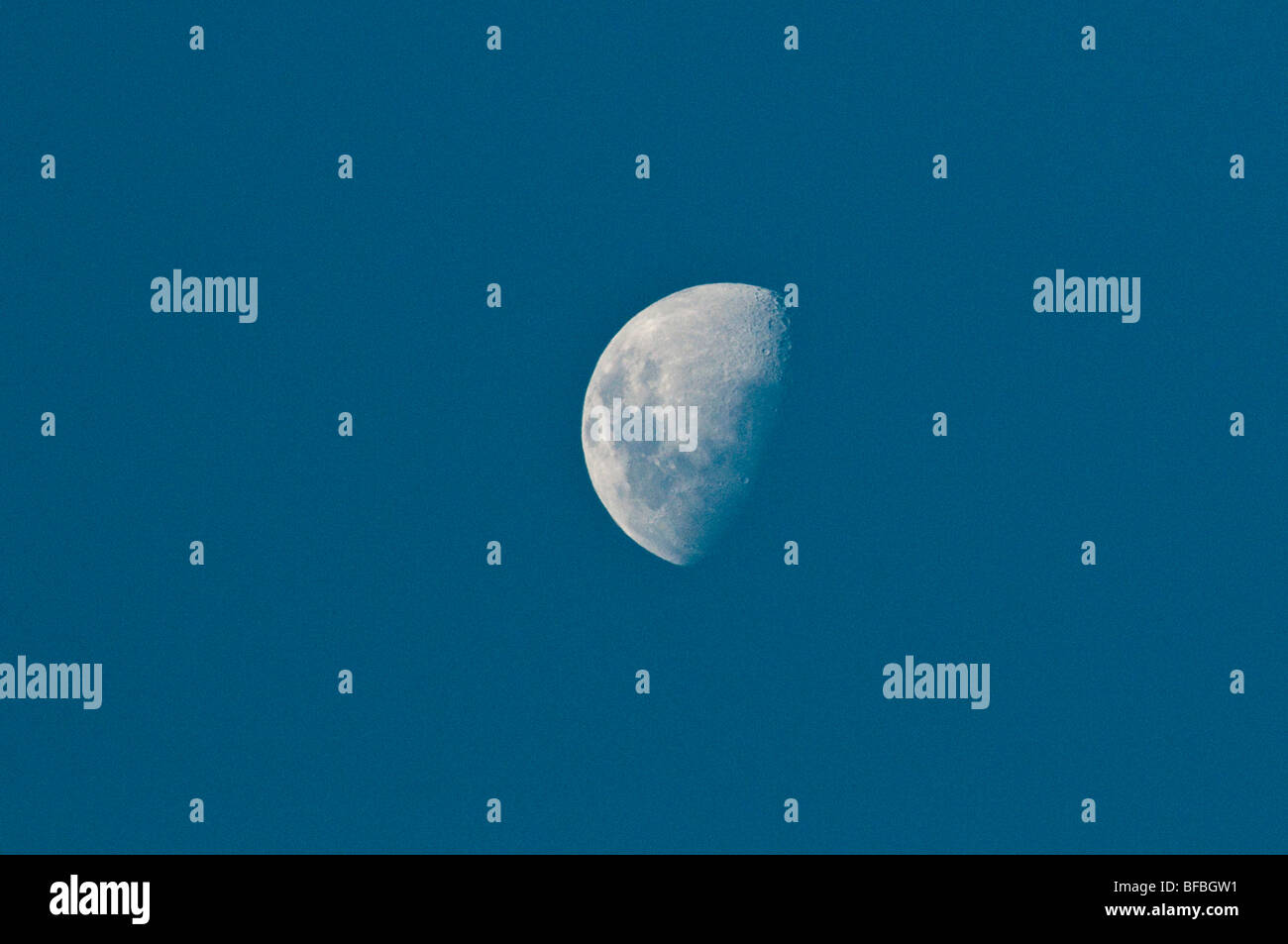 Night nighttime moon moonlight firmament hi-res stock photography and ...