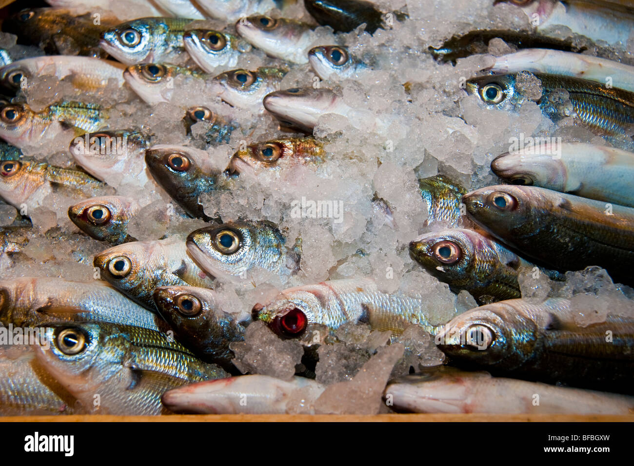 Fresh fish for sale on food market at Aegina island, Greece Stock Photo ...