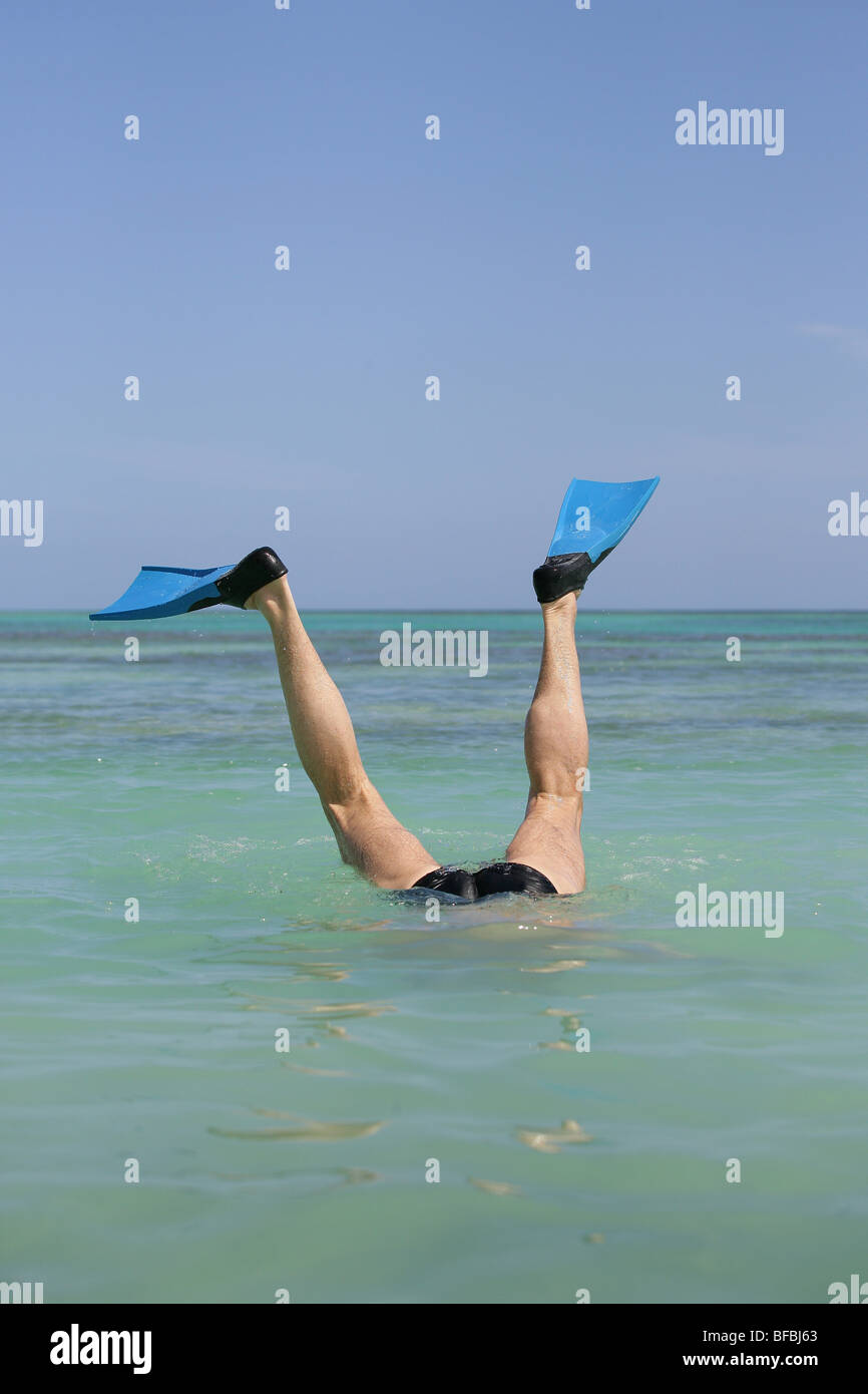 Legs with flippers sticking out of the water Stock Photo - Alamy