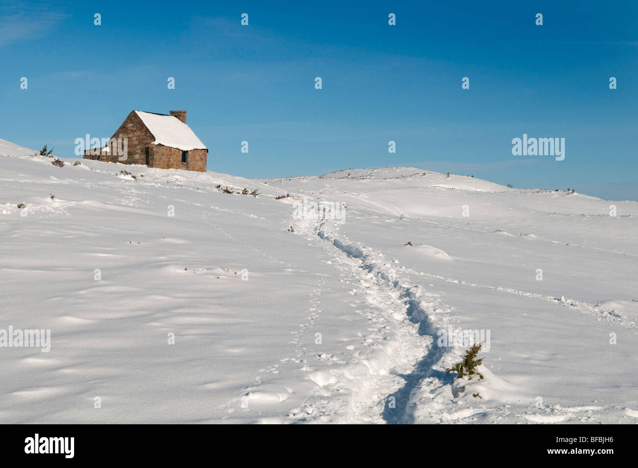 Ryvoan Bothy in the Cairngorms mountains, Scotland Stock Photo - Alamy