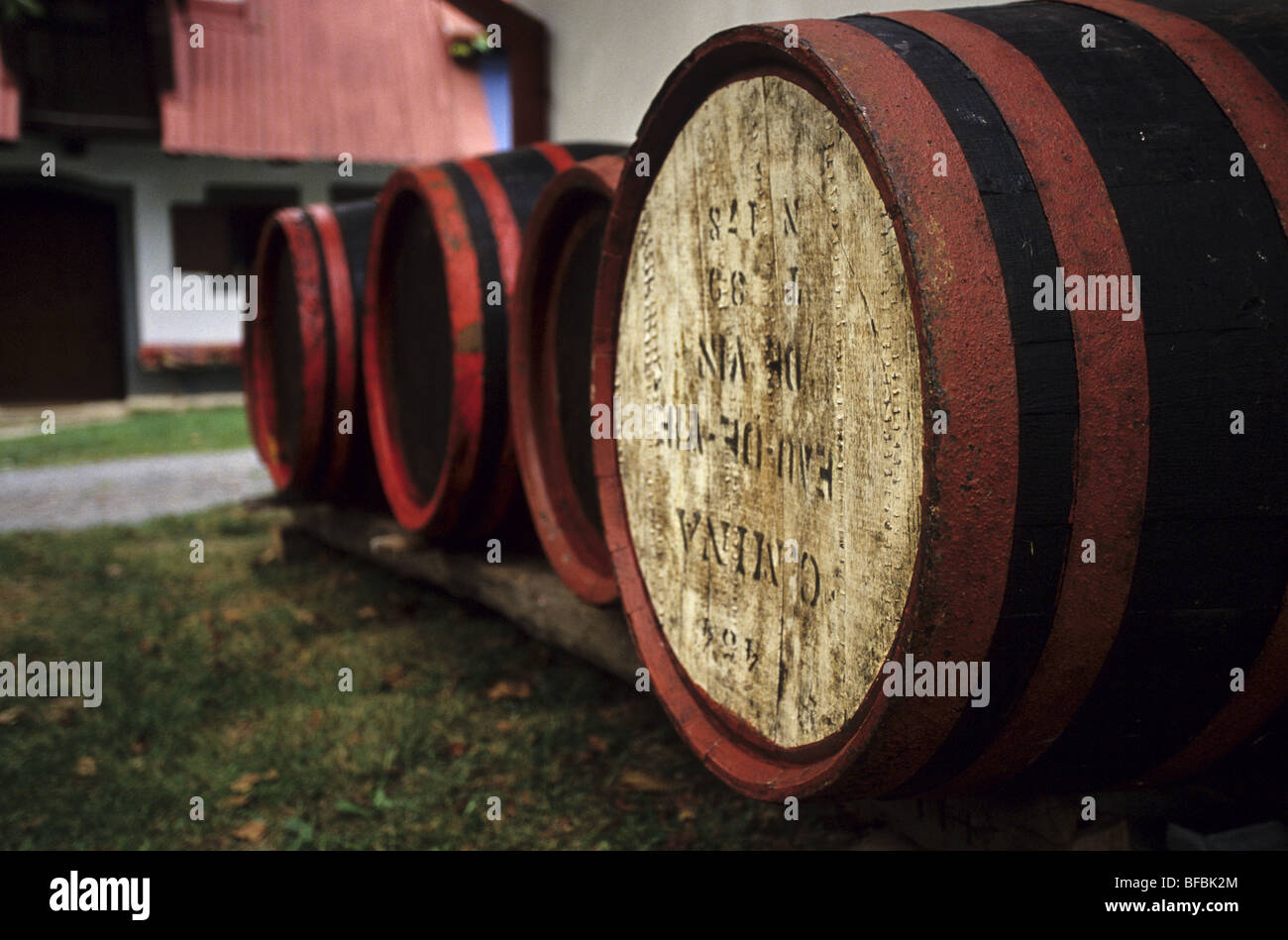 Wine casks at the Stara Hora, a picturesque settlement of wine cellars ...