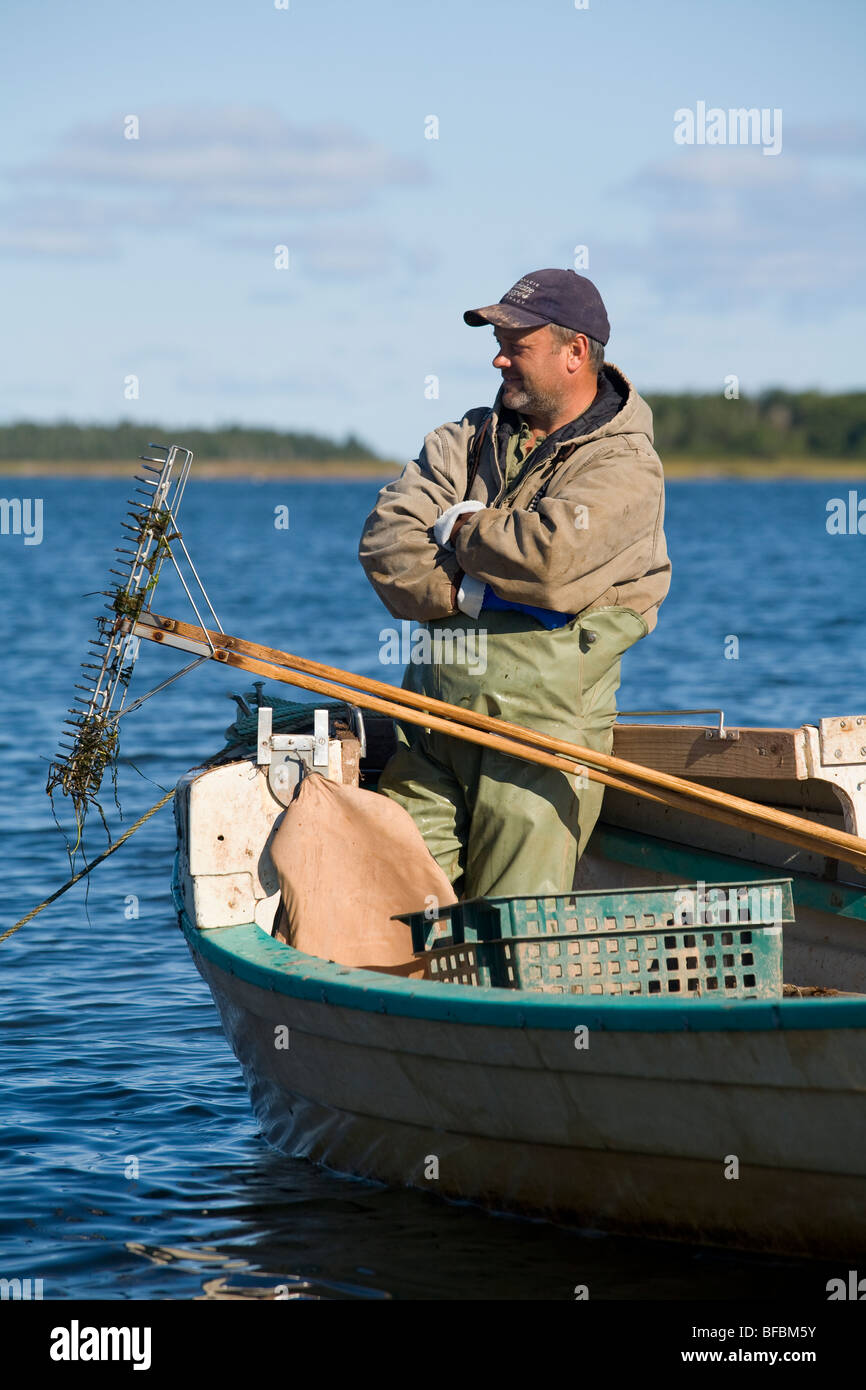 Shellfish Harvester High Resolution Stock Photography and Images - Alamy