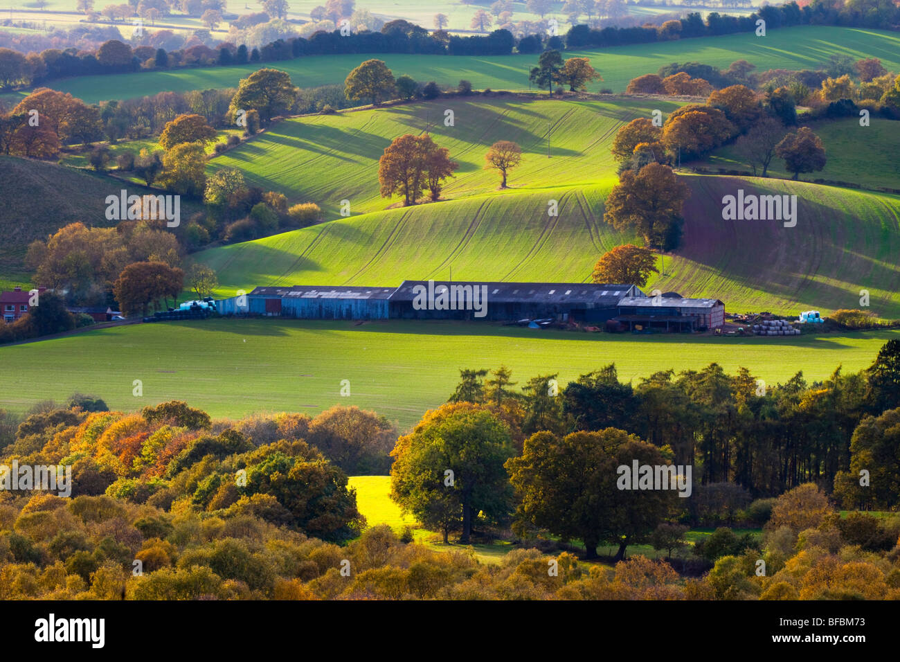 Kinver edge uk hi-res stock photography and images - Alamy