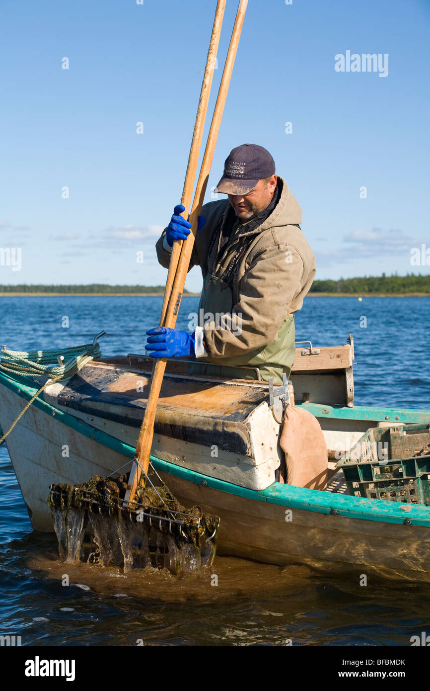 Malpeque bay hi-res stock photography and images - Alamy