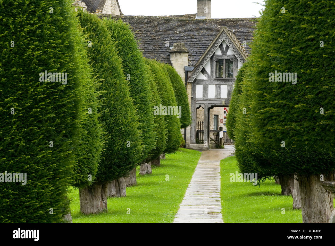 Yew trees leading to the Lychgate in churchyard of St Mary's Church ...