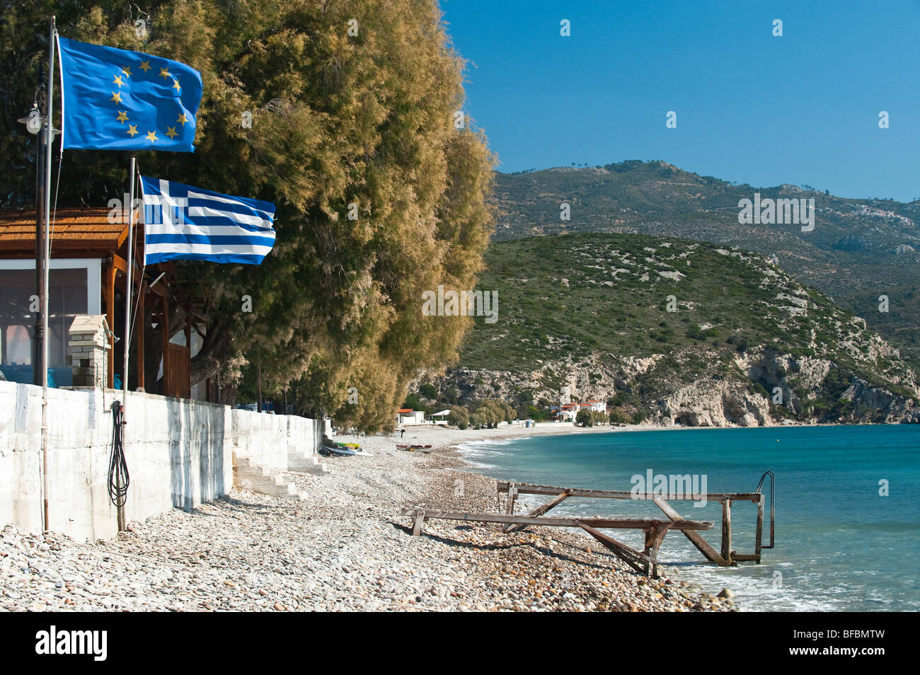 Tamarisk trees hi-res stock photography and images - Alamy