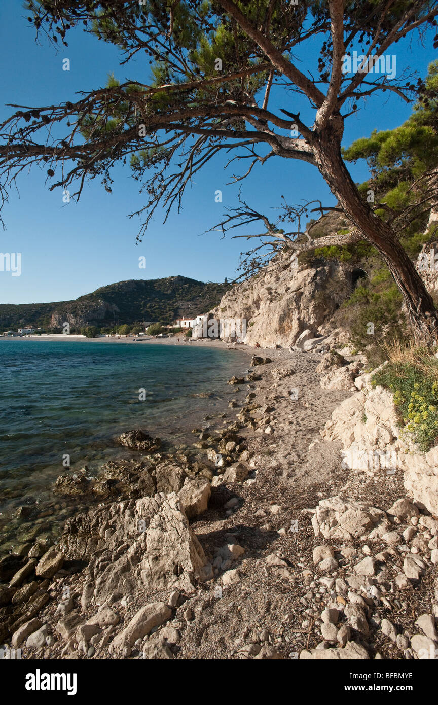 View along a small beach on a greek island with a tree and some houses ...