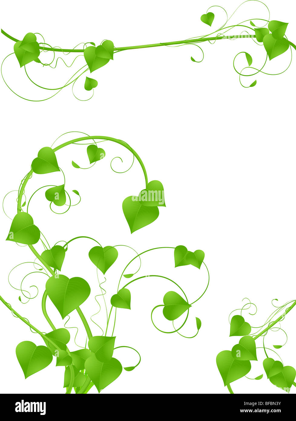 Vine designs set hi-res stock photography and images - Alamy