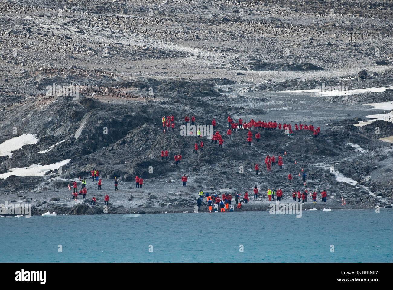 Hope bay, antarctica hi-res stock photography and images - Alamy