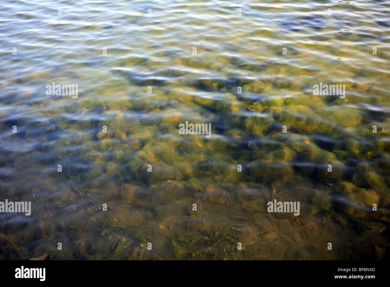 ripple on water at day Stock Photo - Alamy