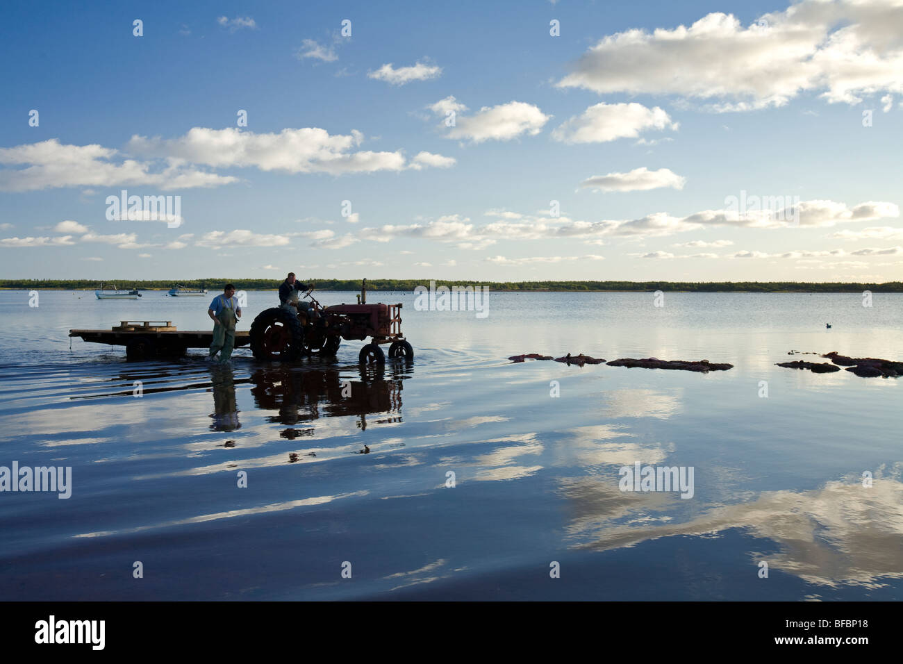 Malpeque bay prince edward island hi-res stock photography and images ...