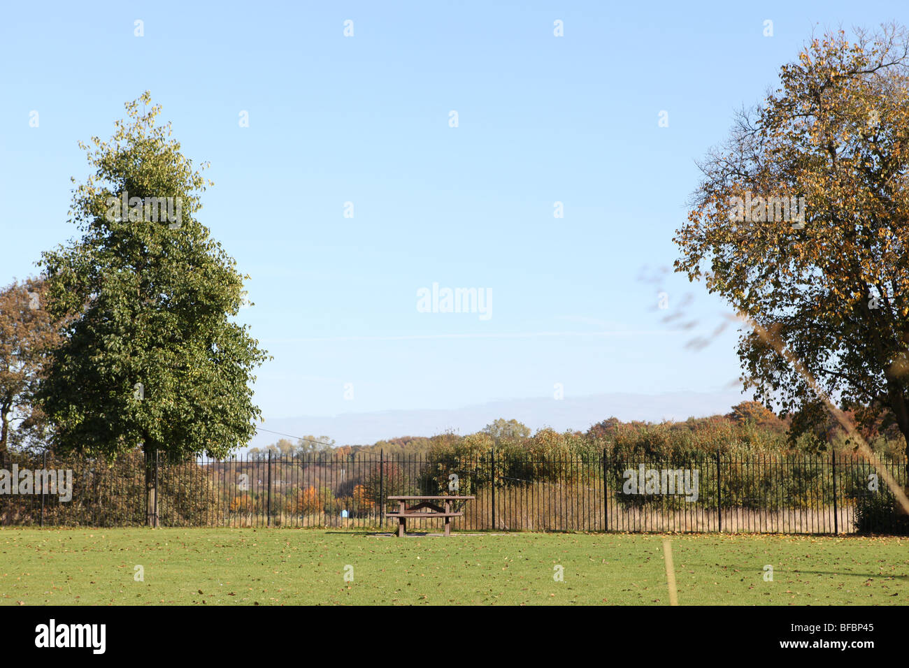 sunny day in park Stock Photo - Alamy