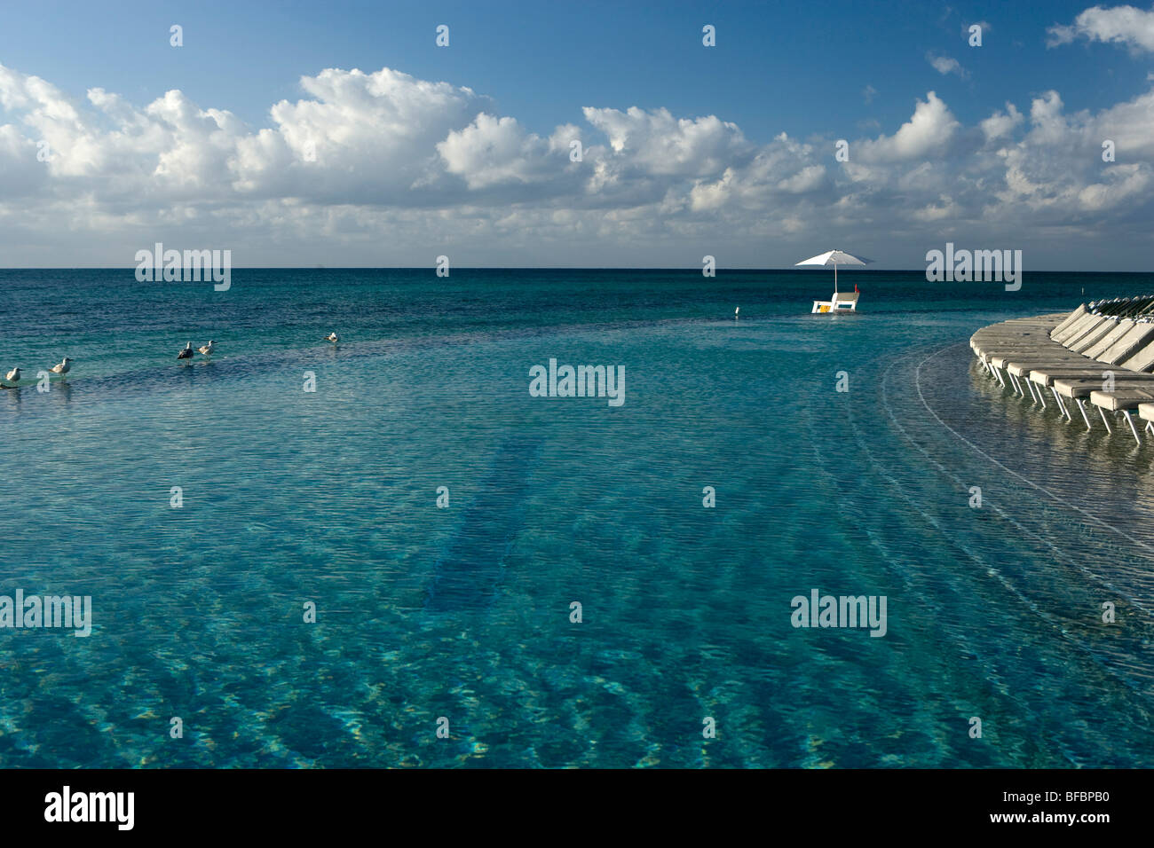 Infinity pool on Grand Bahama Island, The Bahamas Stock Photo - Alamy