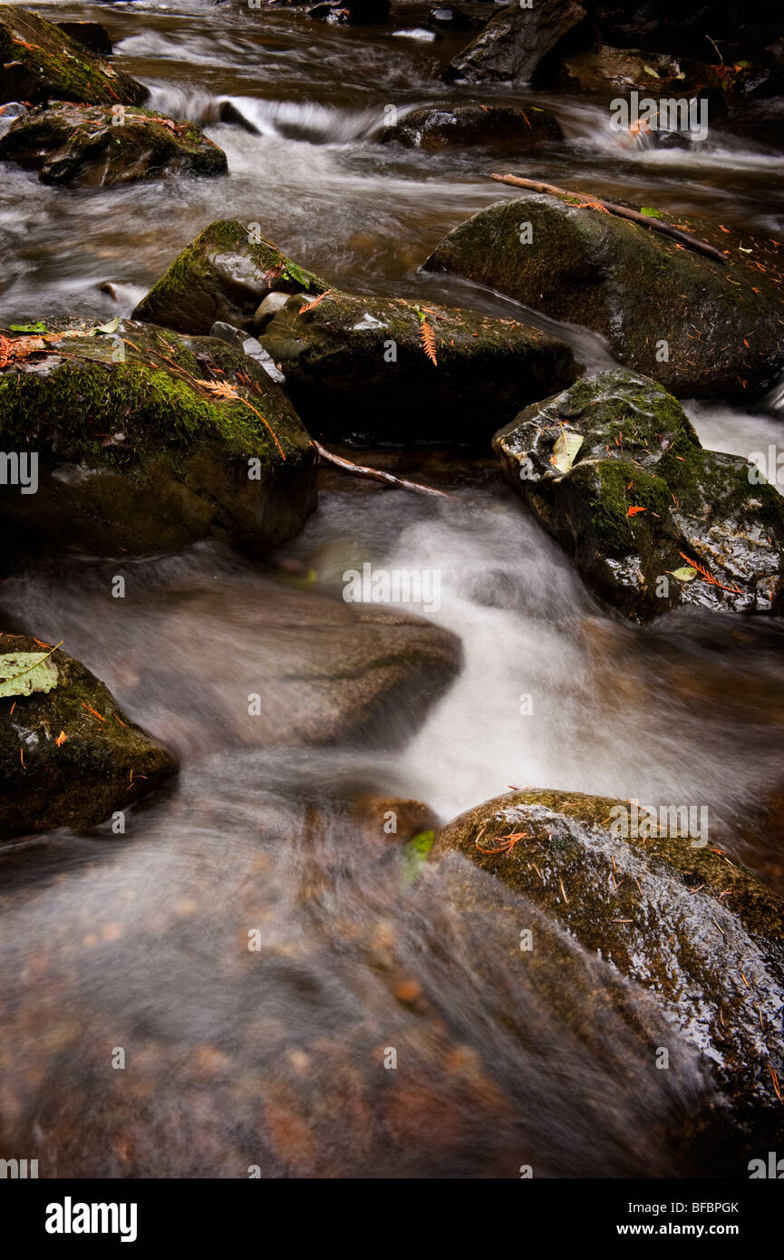 Chuckanut hi-res stock photography and images - Alamy