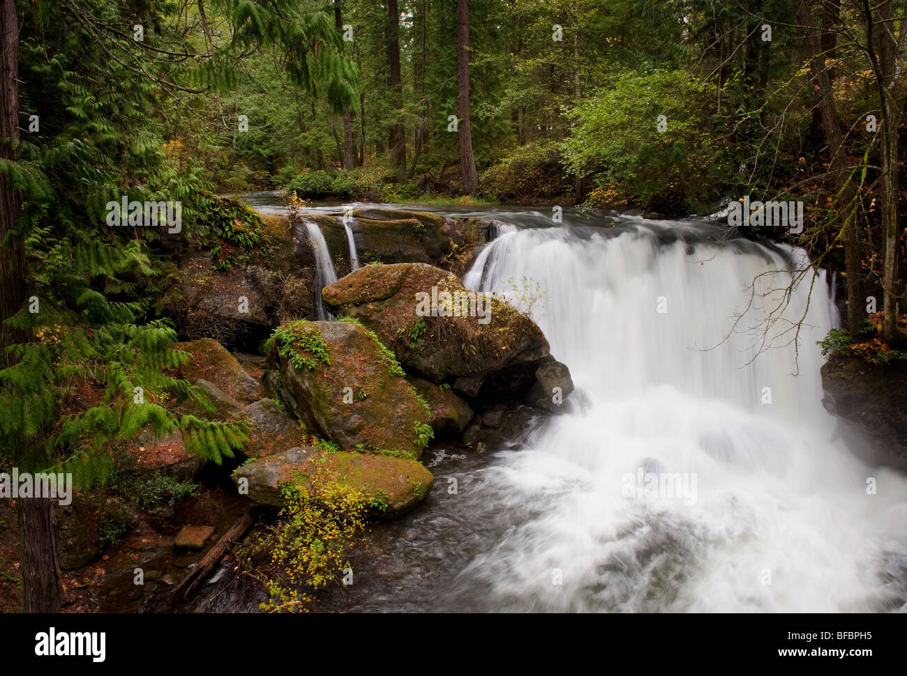 Whatcom Falls Park, Bellingham, Washington USA. Beautiful waterfalls ...